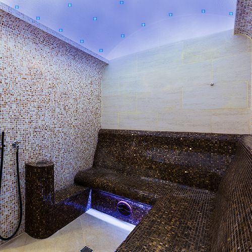Insignia Steam Room Lighting System - 7 Colour Enhanced Experience